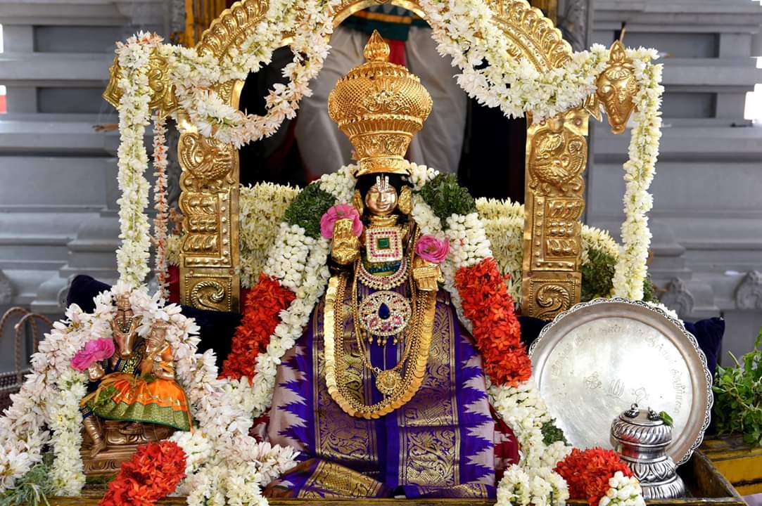 Srirangam Andavan Ashramam , thiruNeermalai- Swami Deesikar Utsavam 8 ...
